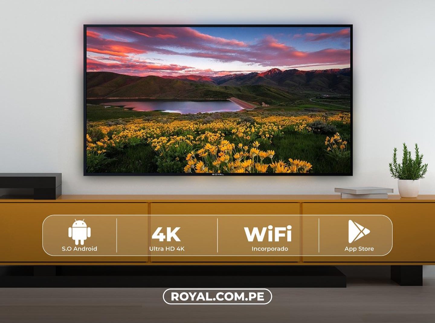 Vialex Importaciones